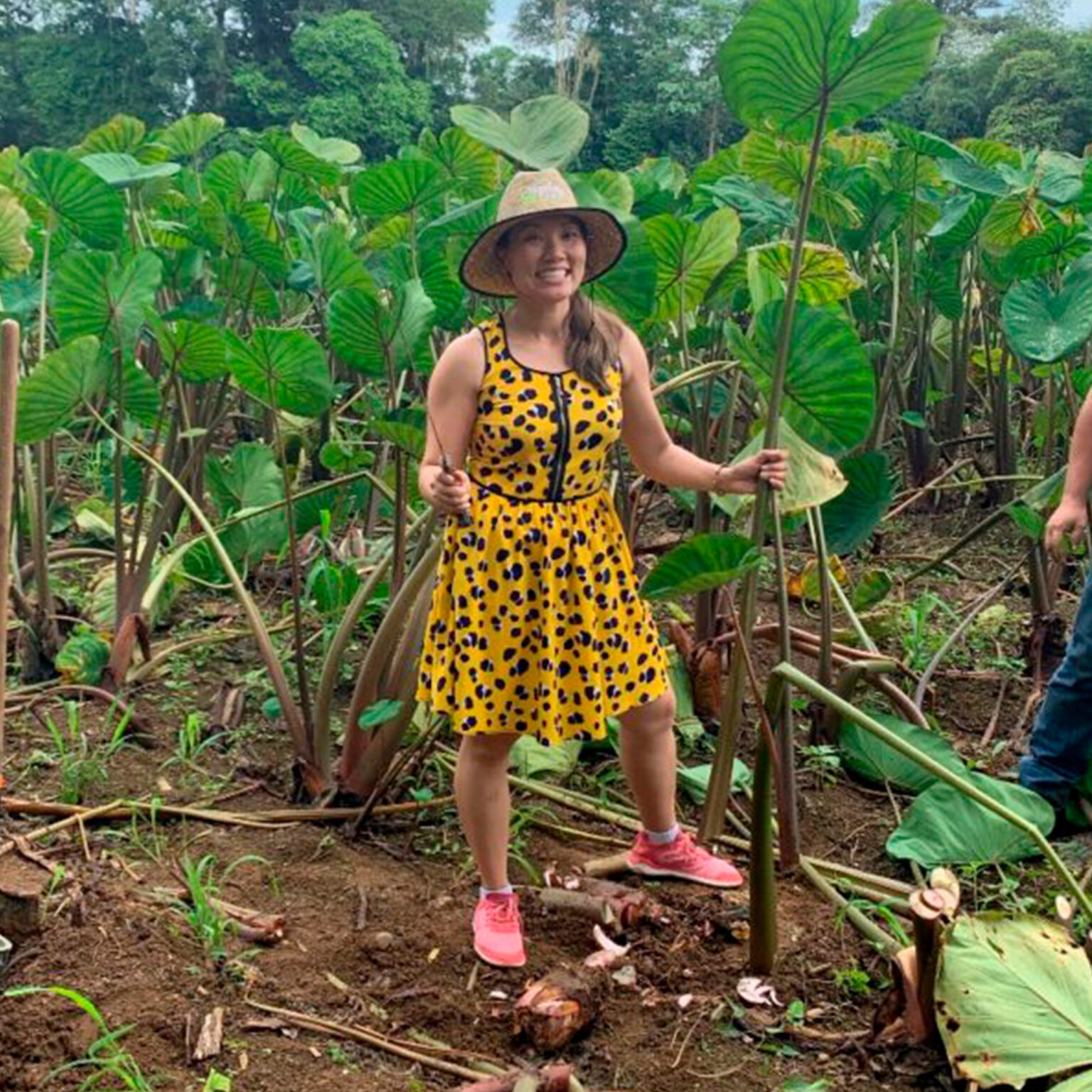 Monkey Park – Costa Rica