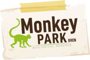 Monkey Park – Costa Rica