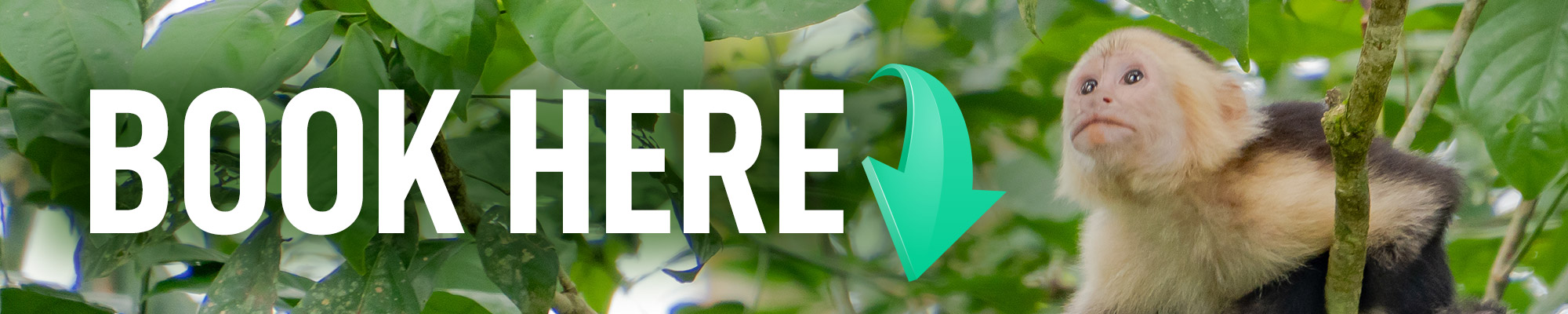 HIKING TRAILS – Monkey Park